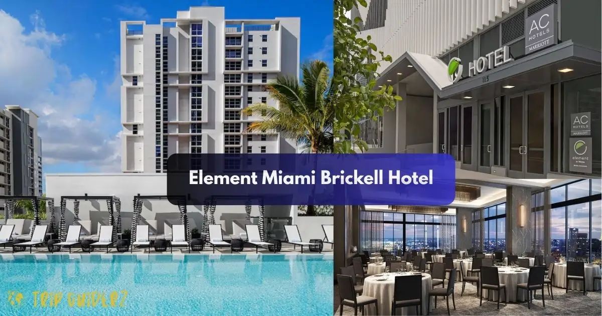 Element Miami Brickell: Your 3 Day Miami Stay Guide