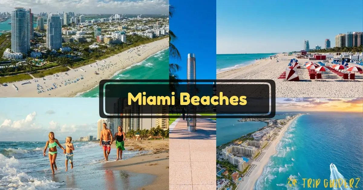 Top 15 Miami Beaches With Photos Guide 2025: For Families, Couples ...