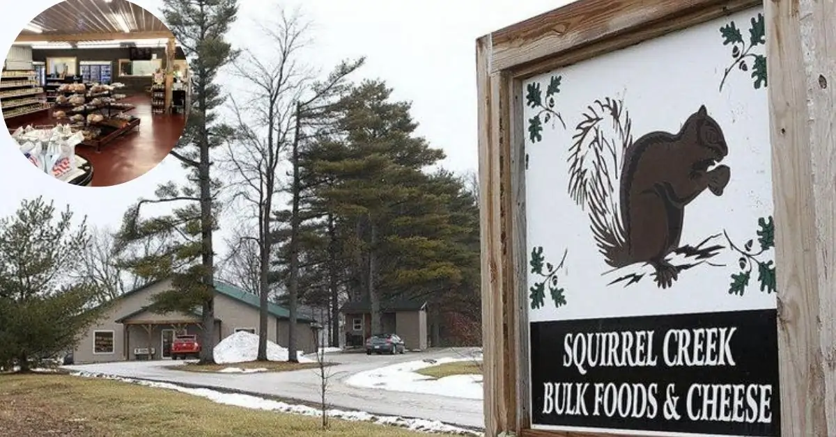 Squirrel Creek Bulk Foods Reviews: Full Guide Of 5 Must-Try Products